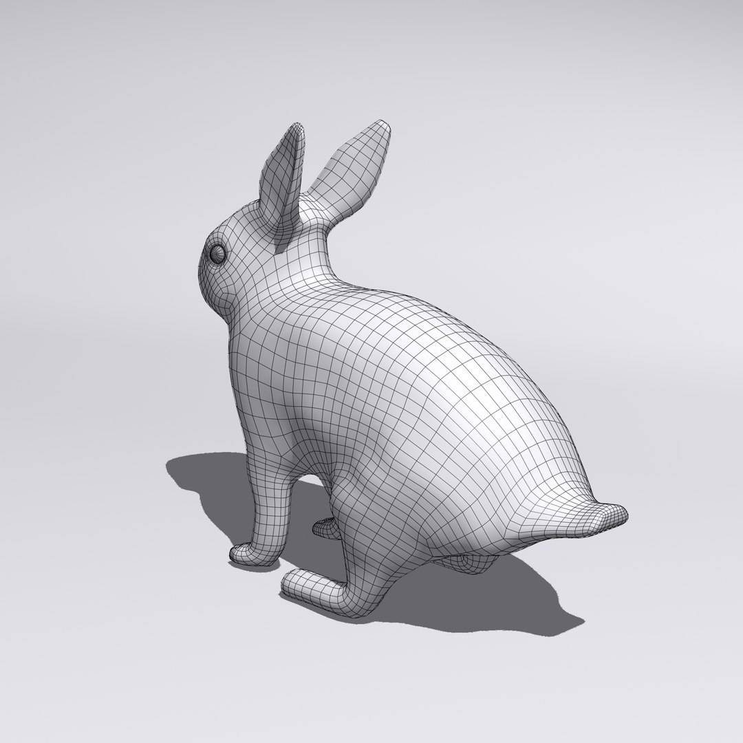 3d Rabbit Model