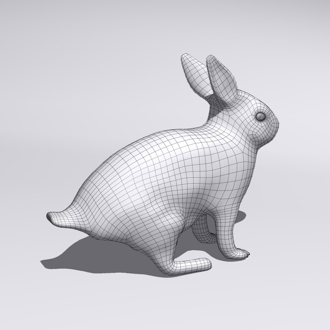 3d Rabbit Model
