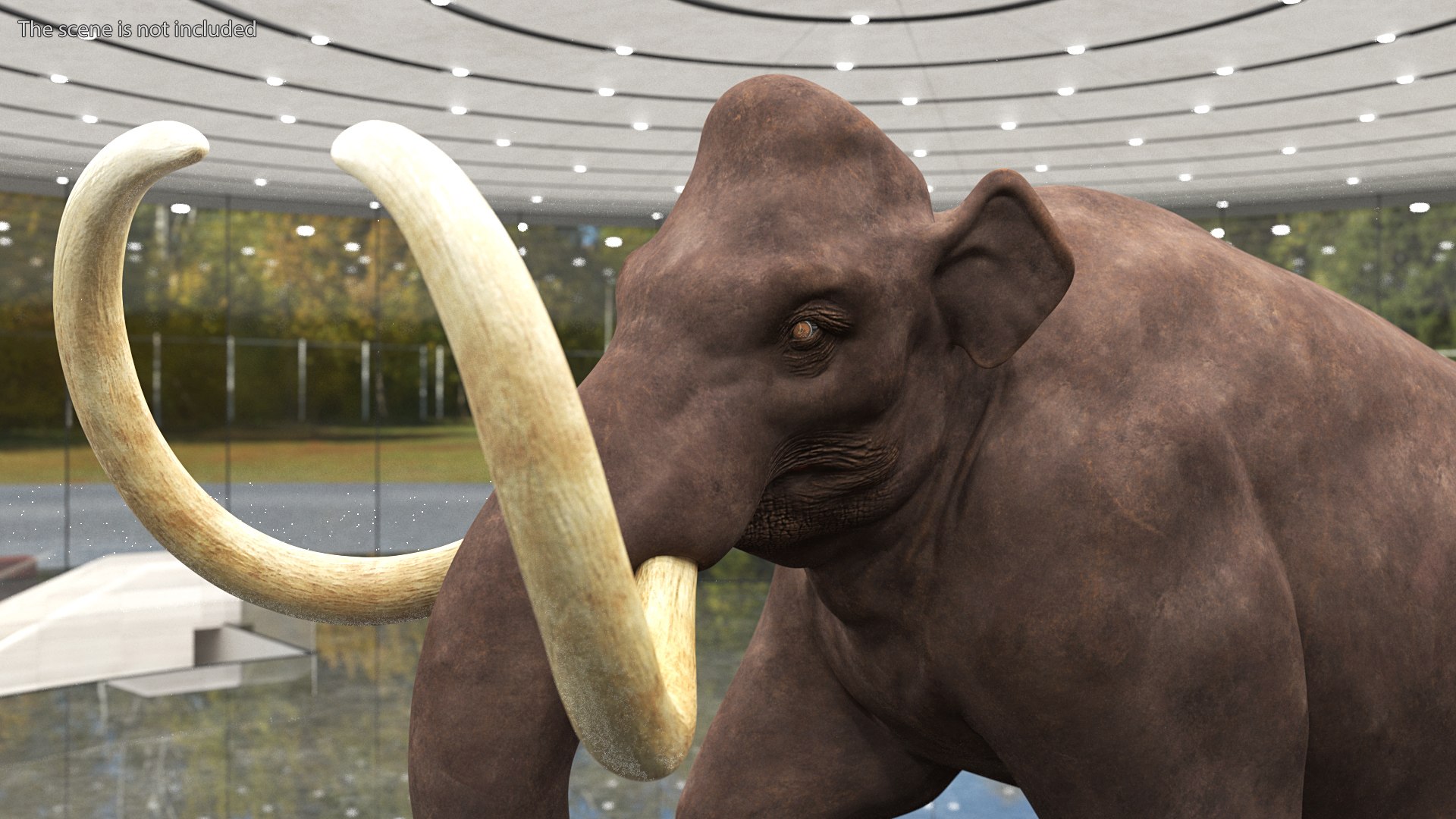 3D Mammoth Adult Rigged For Maya - TurboSquid 1859783
