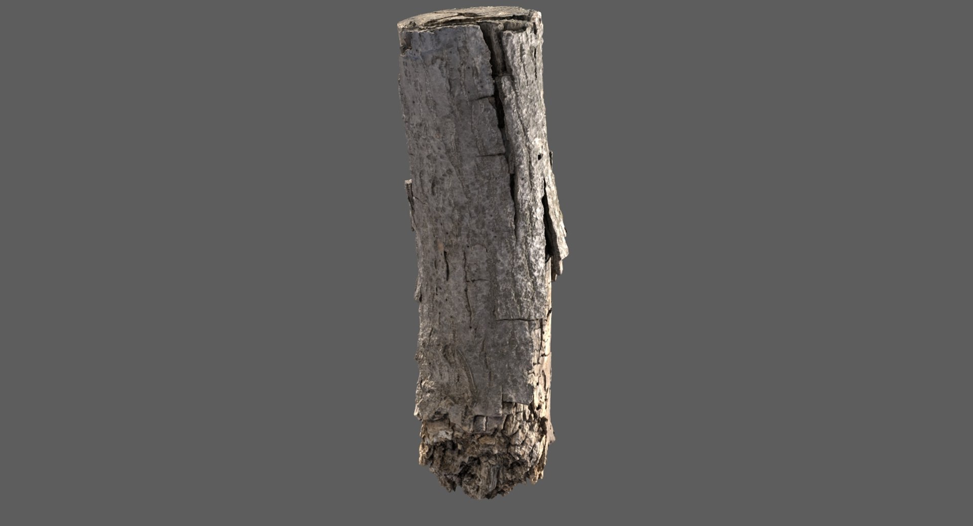Tree Bark Scanned 3D Model - TurboSquid 1419526