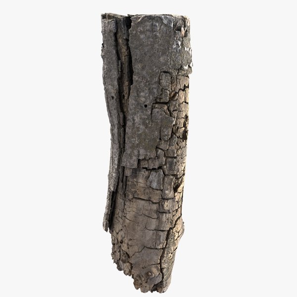 Tree bark scanned 3D model - TurboSquid 1419526