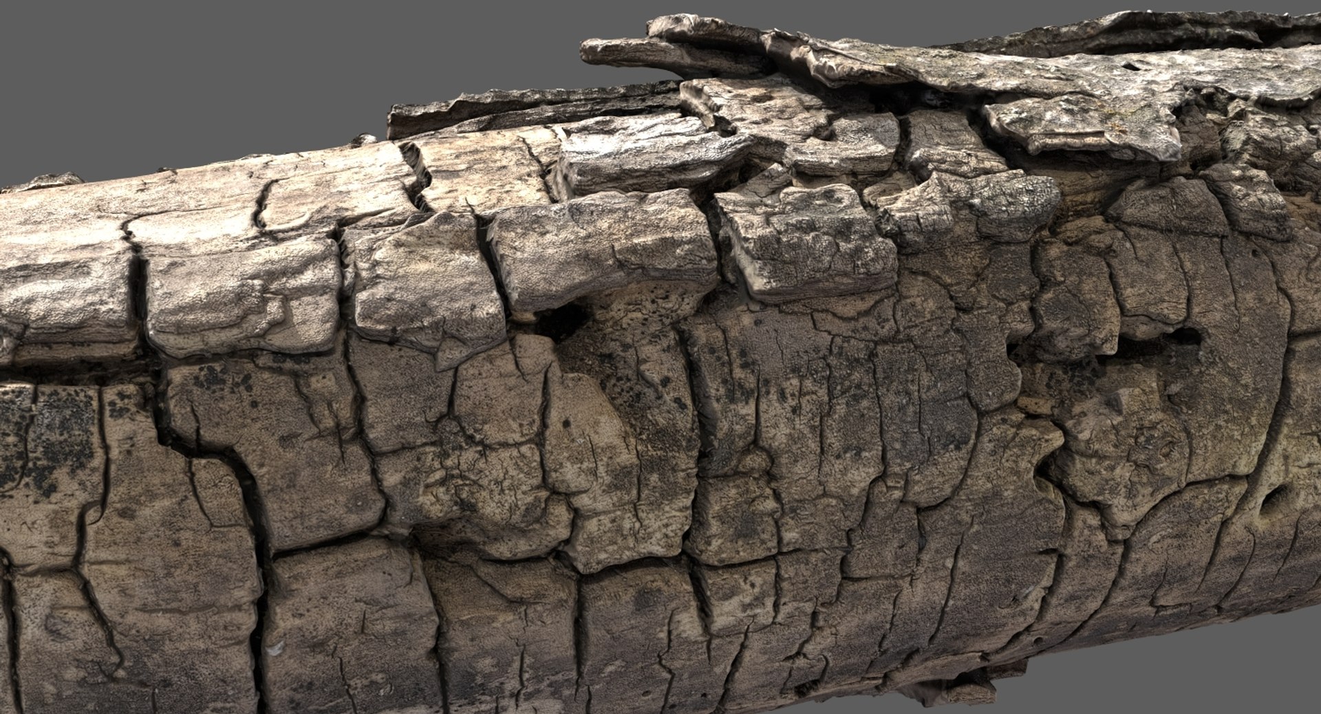 Tree Bark Scanned 3D Model - TurboSquid 1419526