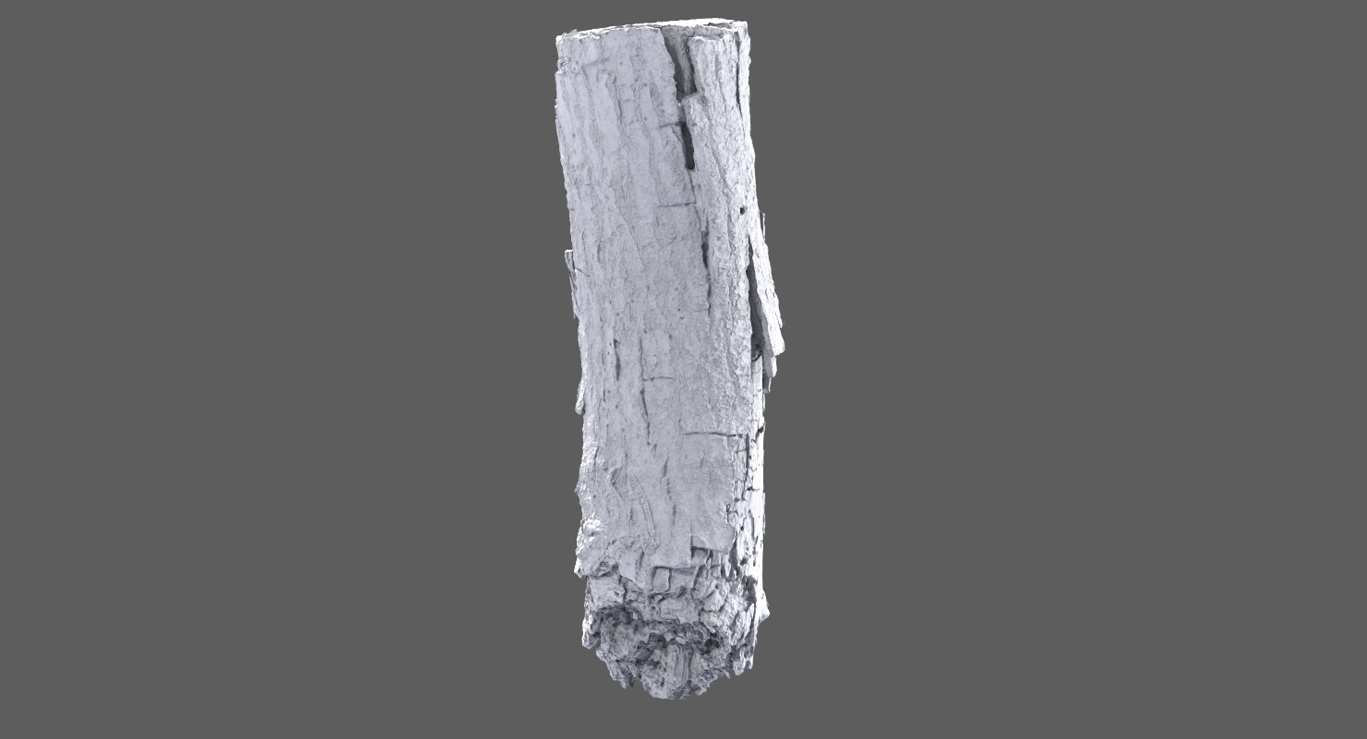 Tree Bark Scanned 3D Model - TurboSquid 1419526