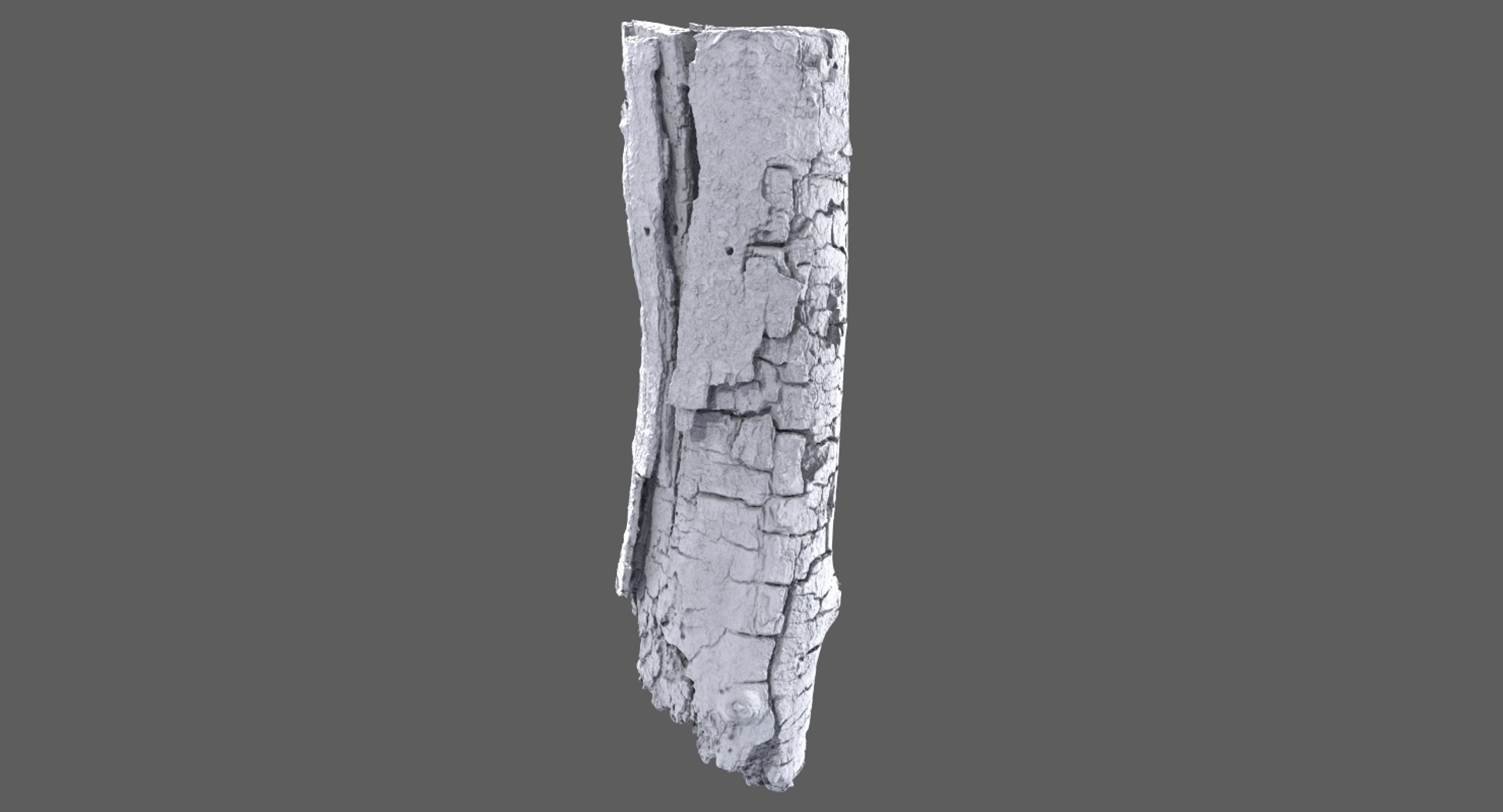 Tree Bark Scanned 3D Model - TurboSquid 1419526