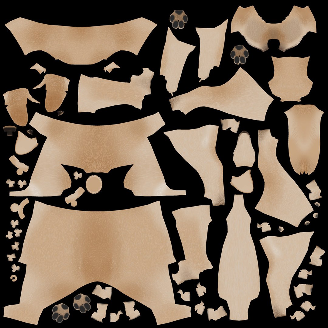 Dog Skeleton 3D - TurboSquid 1332791