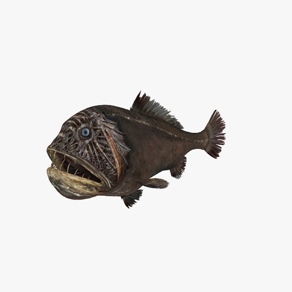 fangtooth cheetah3d 3d c4d