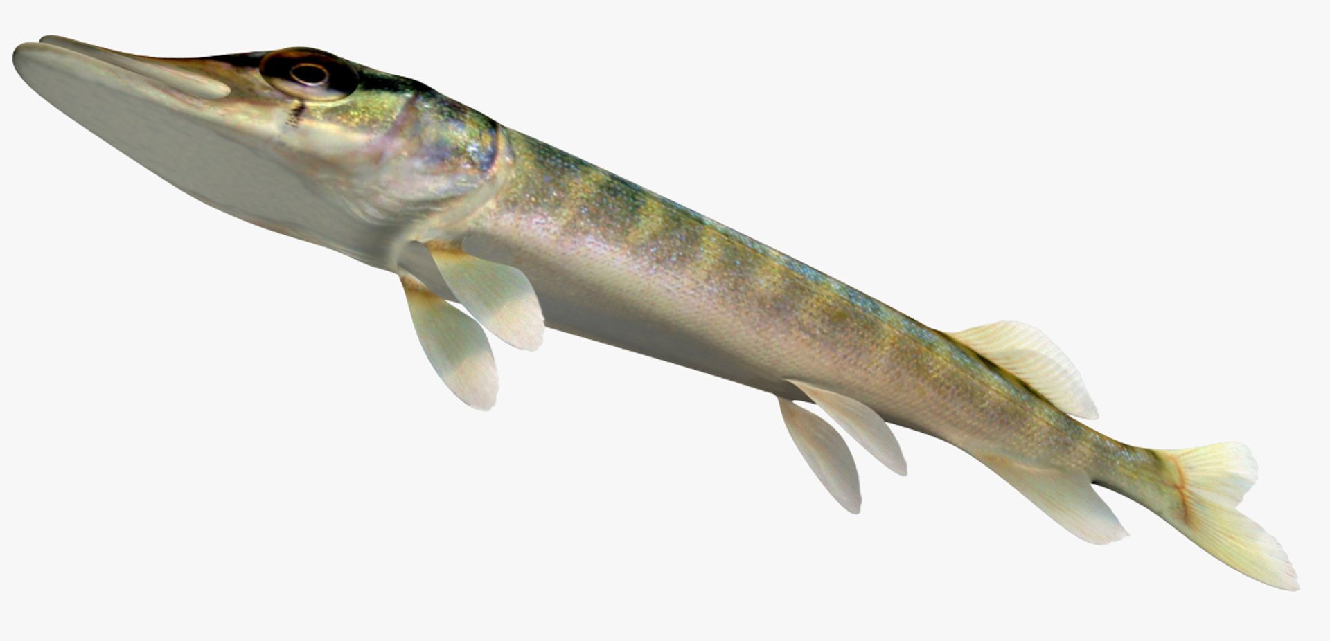 Pike Collection 3D Model - TurboSquid 1812653