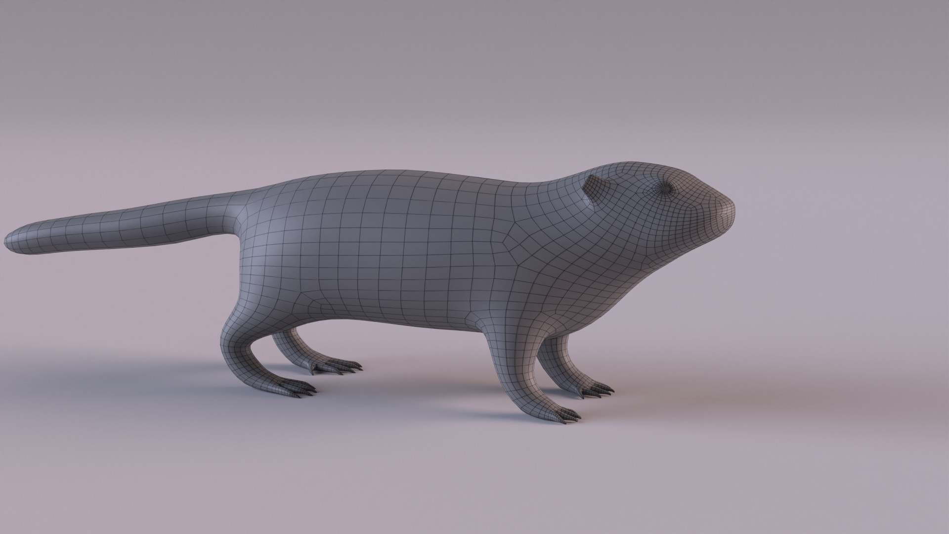 3D Marmot - TurboSquid 1227385