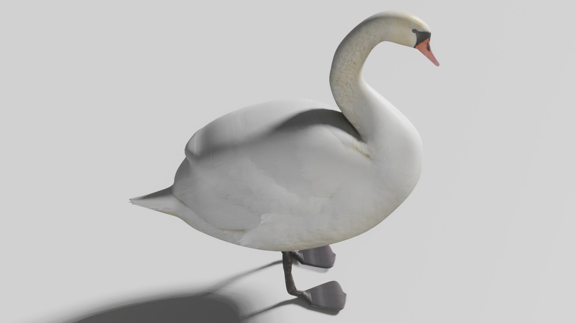 3D Model Realistic Swan OBJ - TurboSquid 2035923