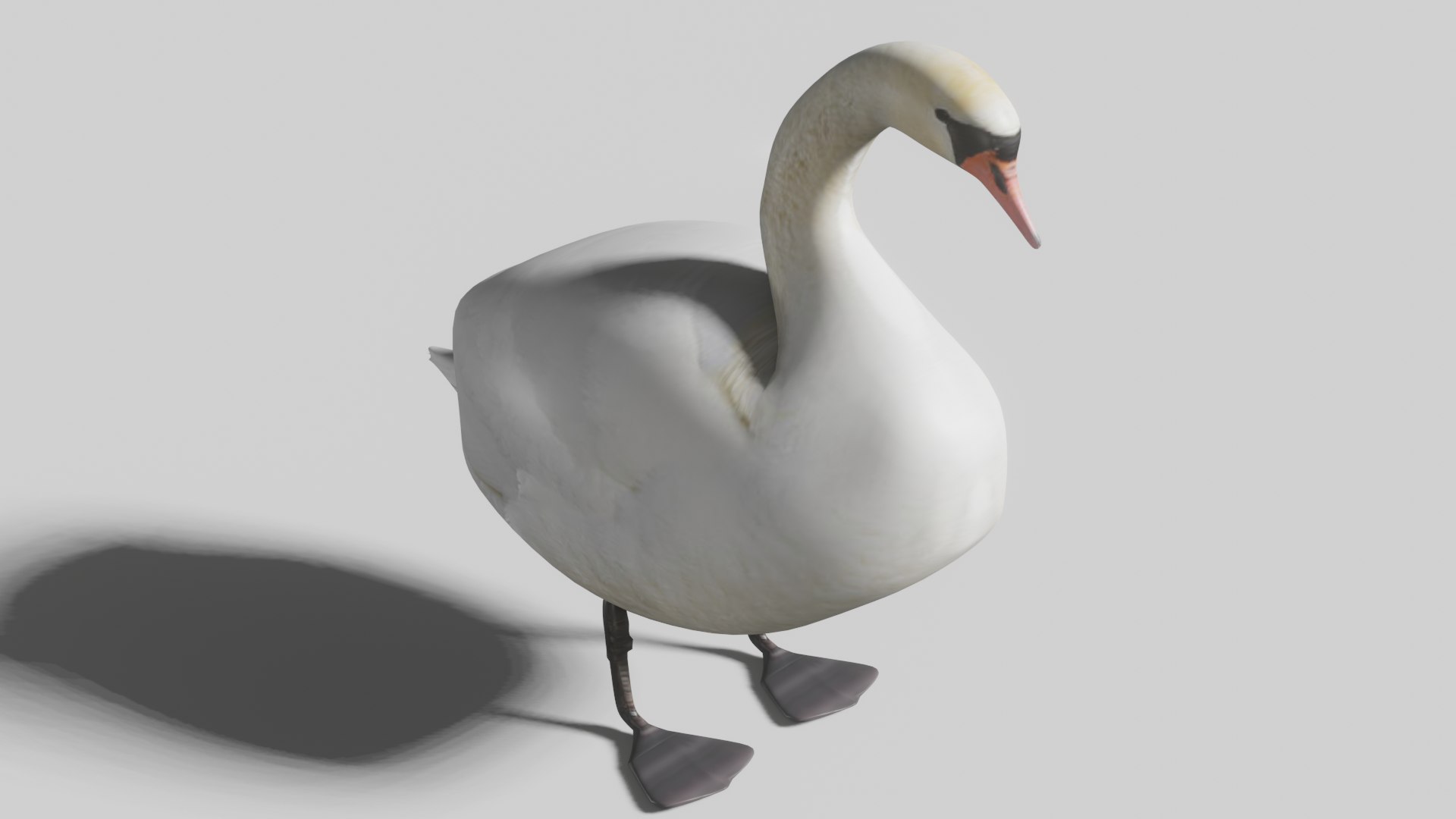 3D Model Realistic Swan OBJ - TurboSquid 2035923