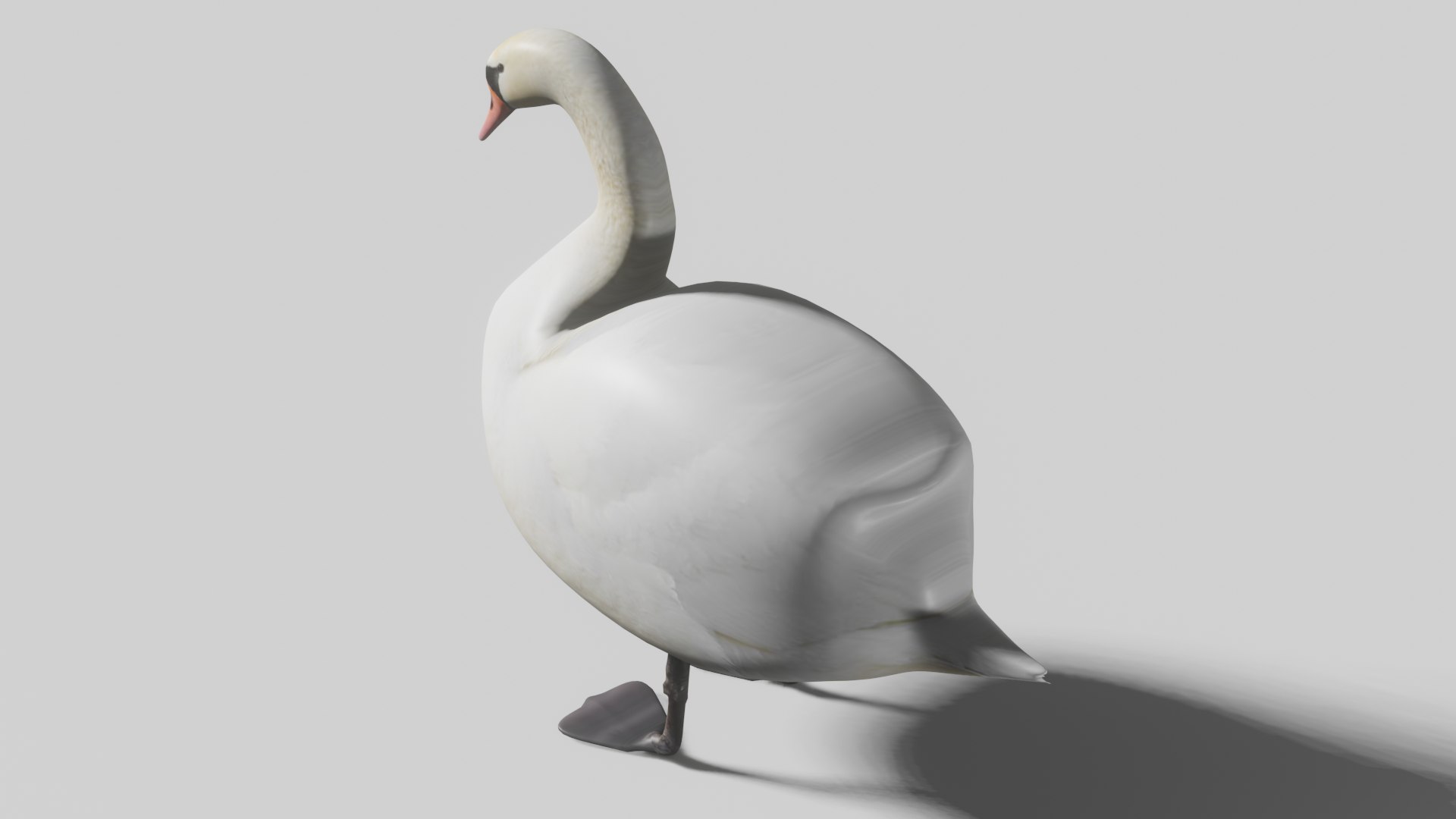 3D Model Realistic Swan OBJ - TurboSquid 2035923
