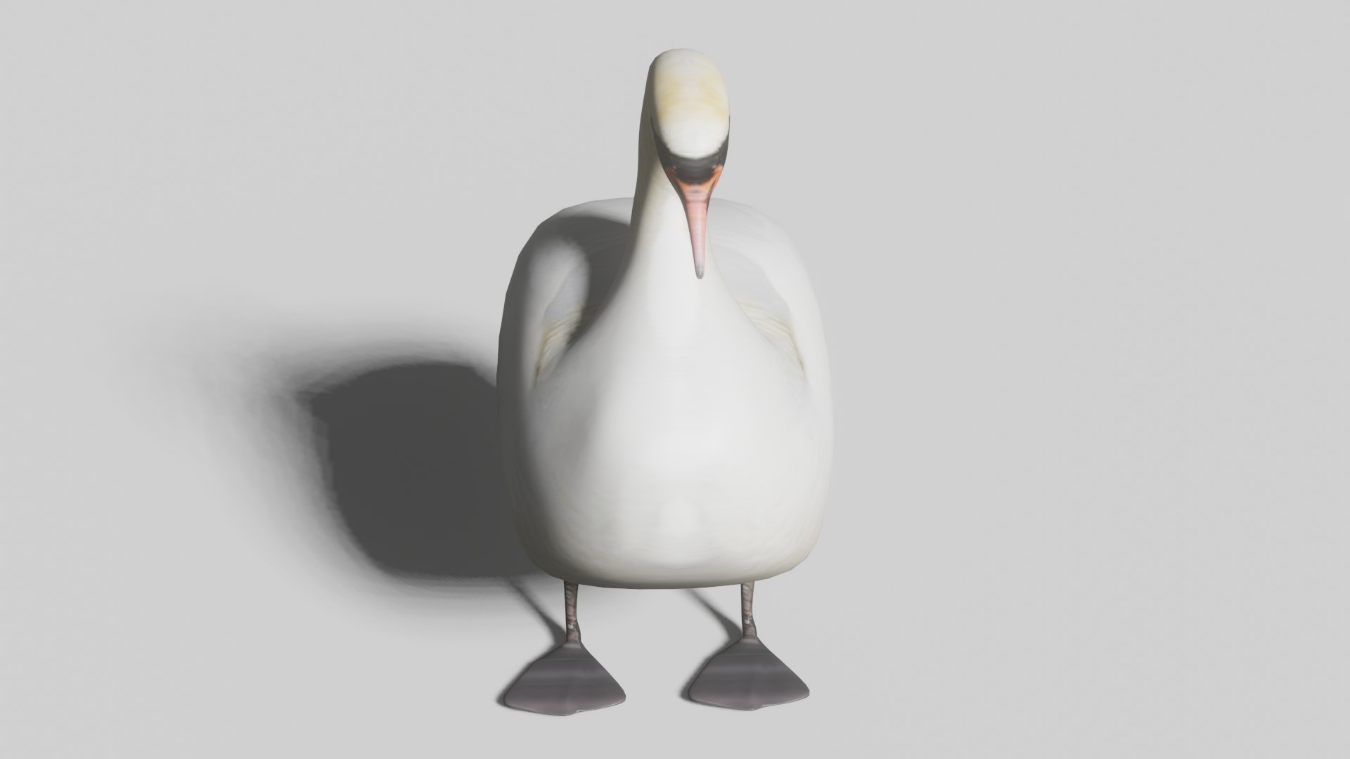 3D Model Realistic Swan OBJ - TurboSquid 2035923