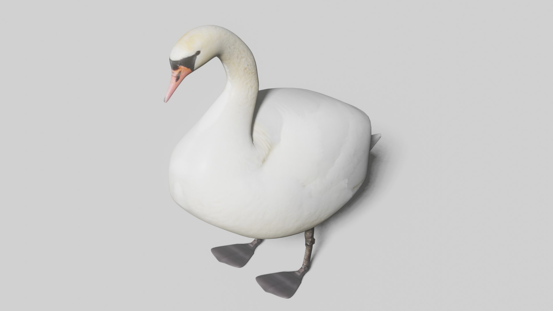 3D Model Realistic Swan OBJ - TurboSquid 2035923