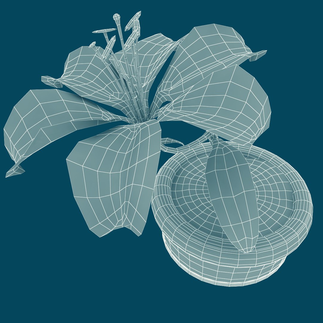 3d Model Of Lilly Flower