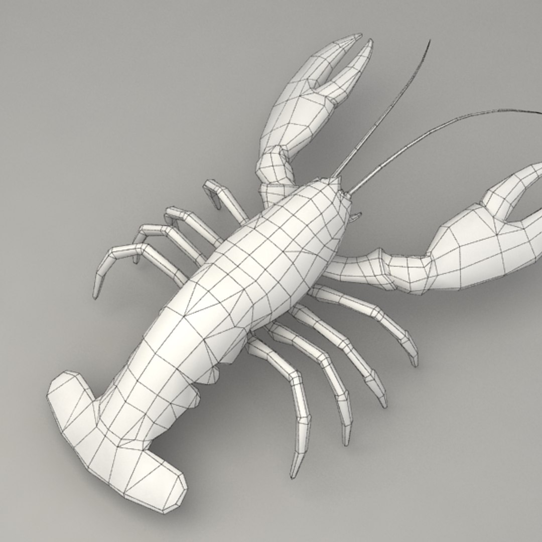 rigged lobster 3ds