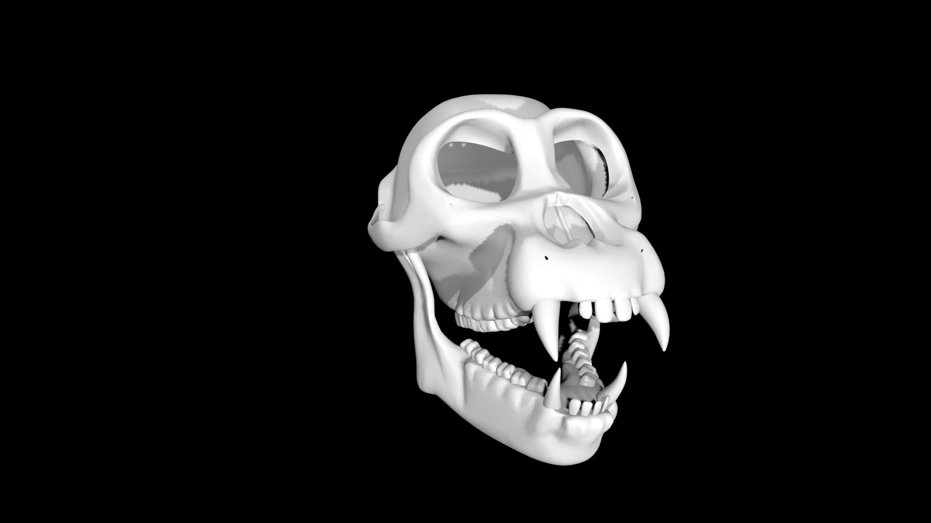 Chimpanzee Skull 3D Model - TurboSquid 1885054