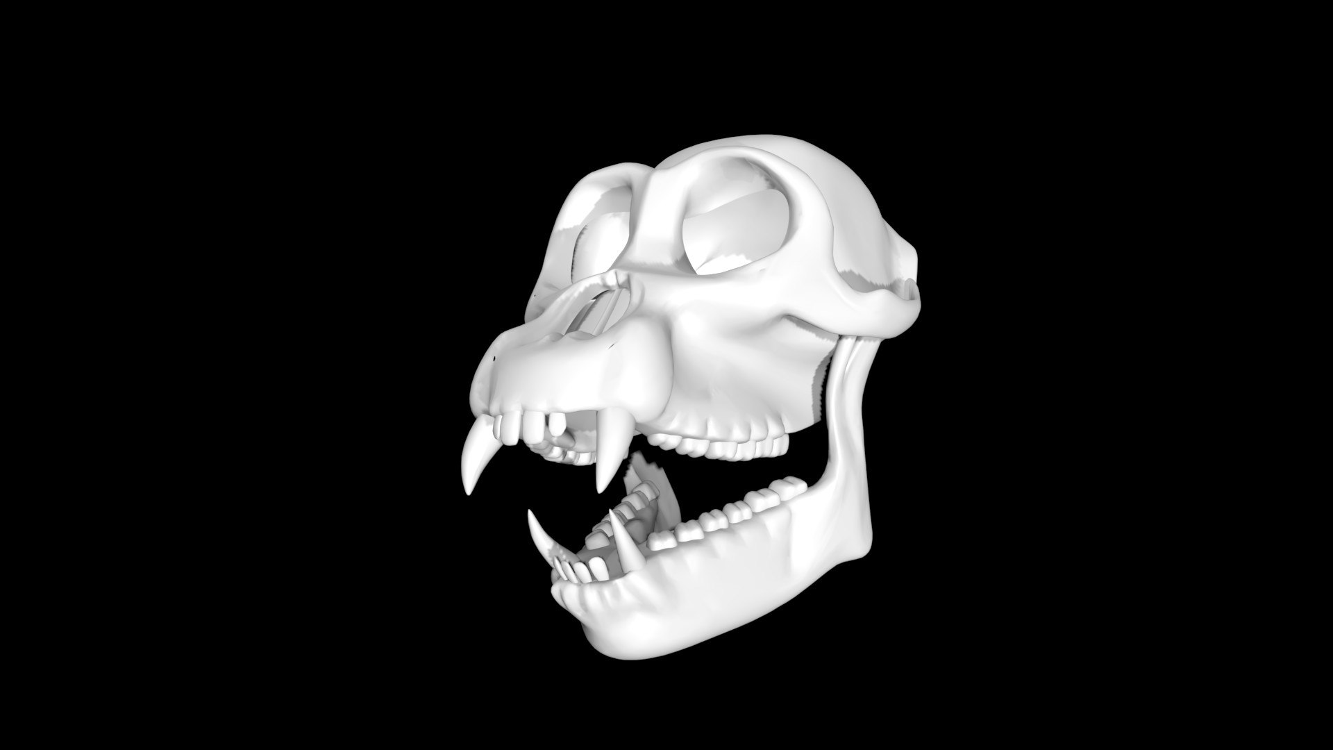 Chimpanzee Skull 3D Model - TurboSquid 1885054