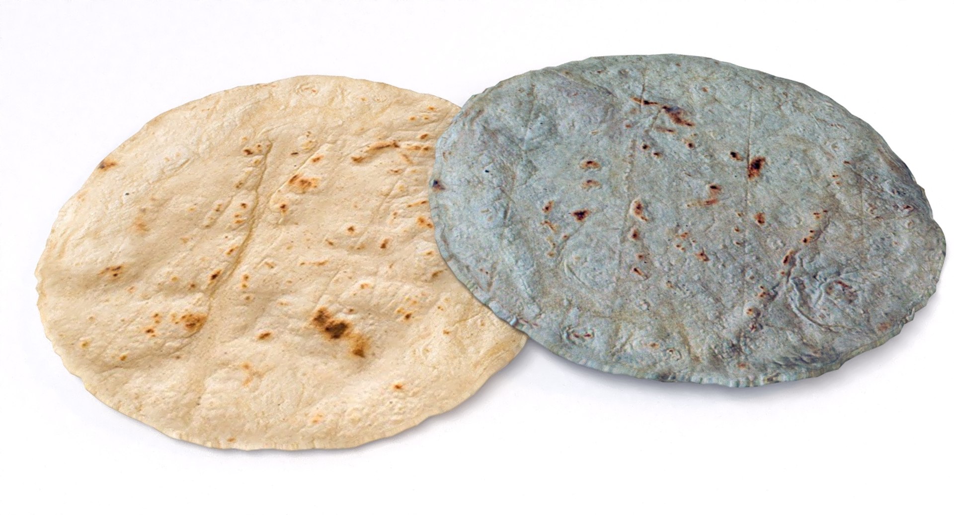 3D Model Tortilla Mexican - TurboSquid 1405220