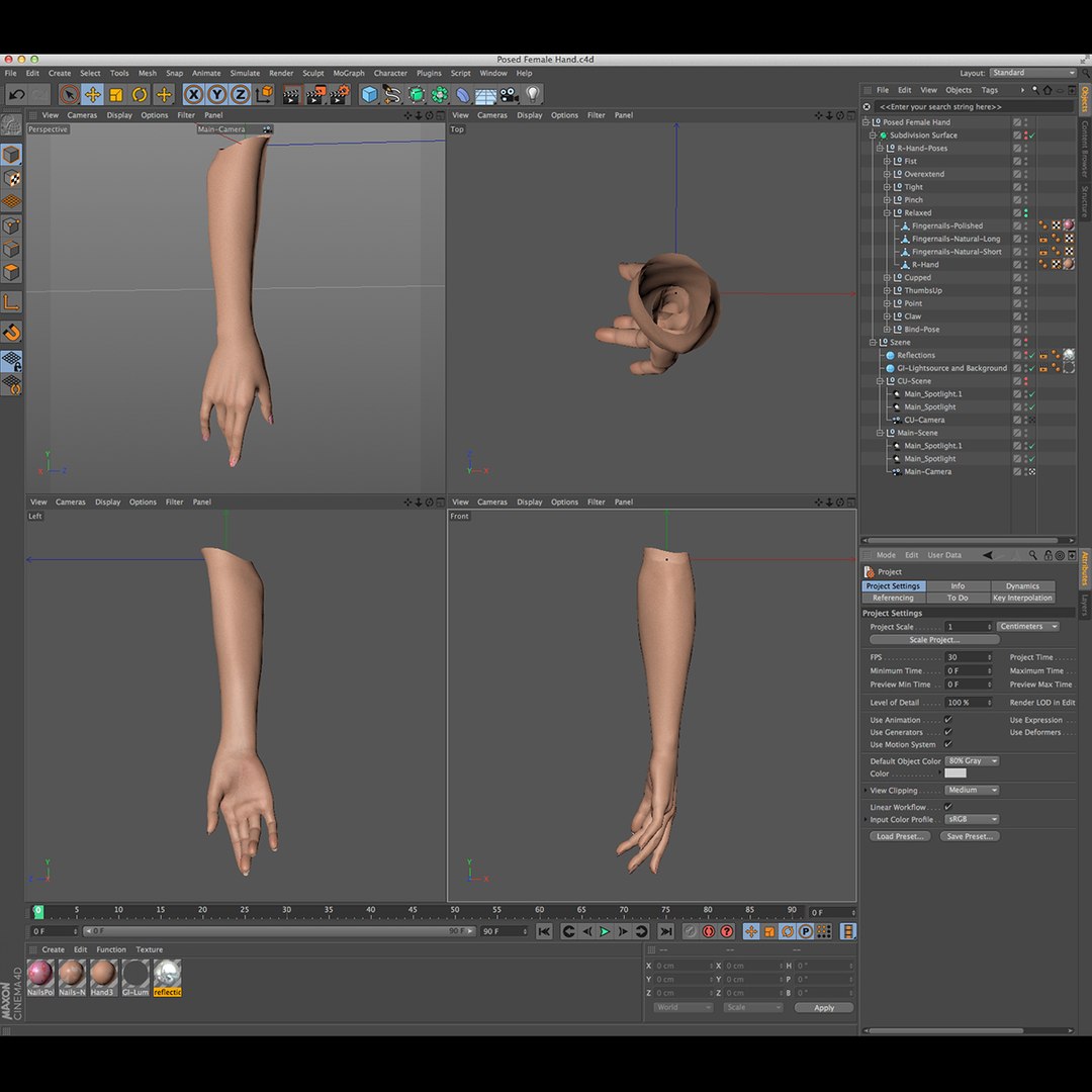 Hand Arm Female Pose C4d