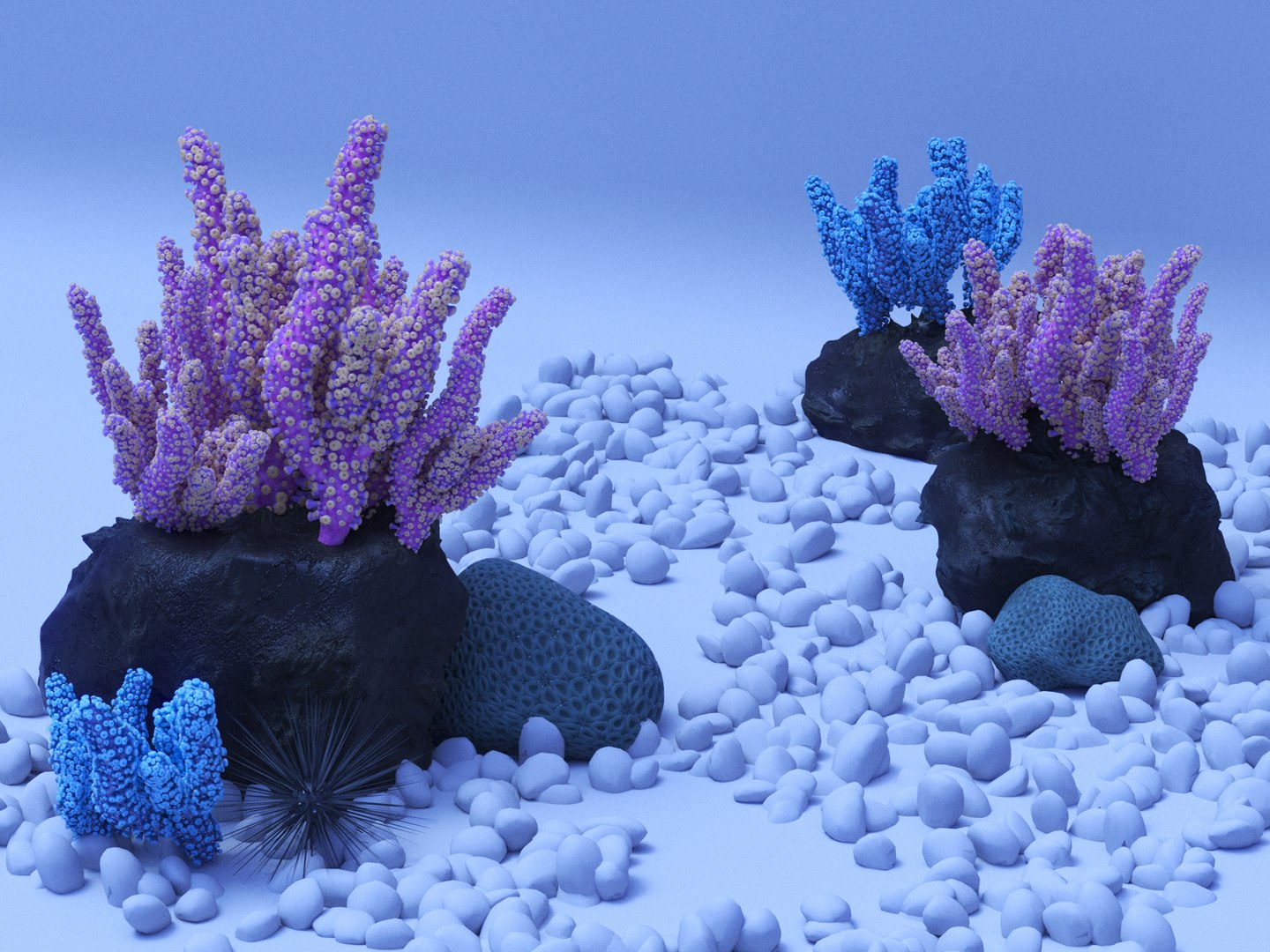 3D Coral Reefs Model - TurboSquid 1566406