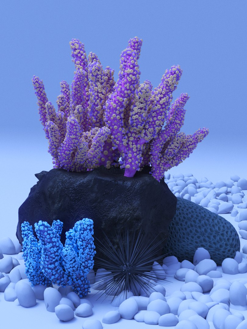 3D Coral Reefs Model - TurboSquid 1566406
