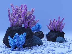 3d white coral model