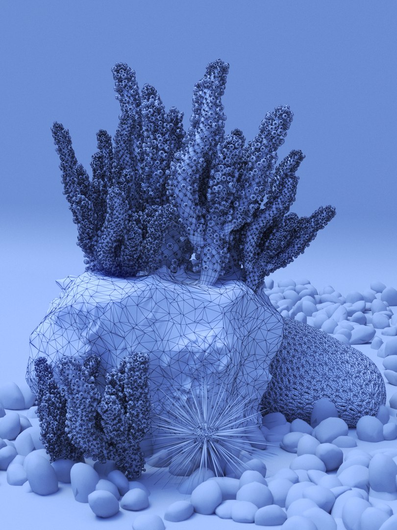 3D Coral Reefs Model - TurboSquid 1566406