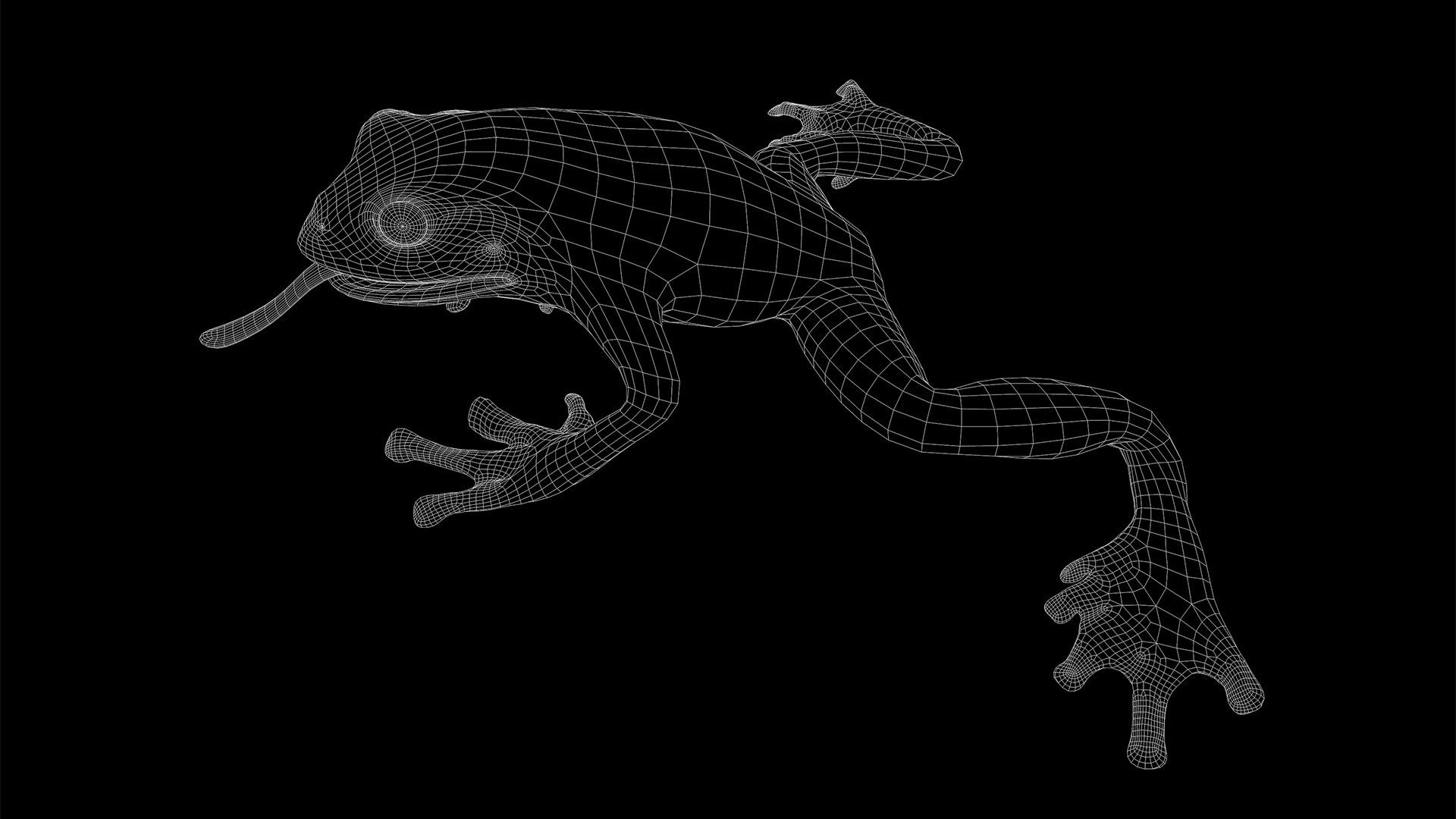 3D Frog Blue Color Model - TurboSquid 1854372