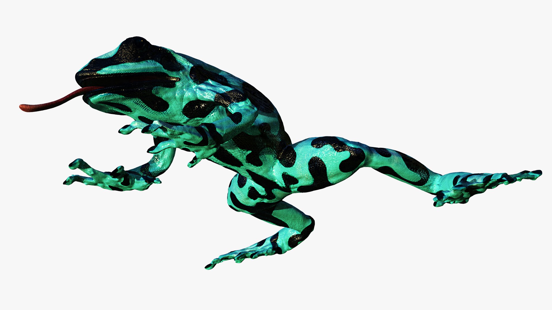 3D Frog Blue Color Model - TurboSquid 1854372
