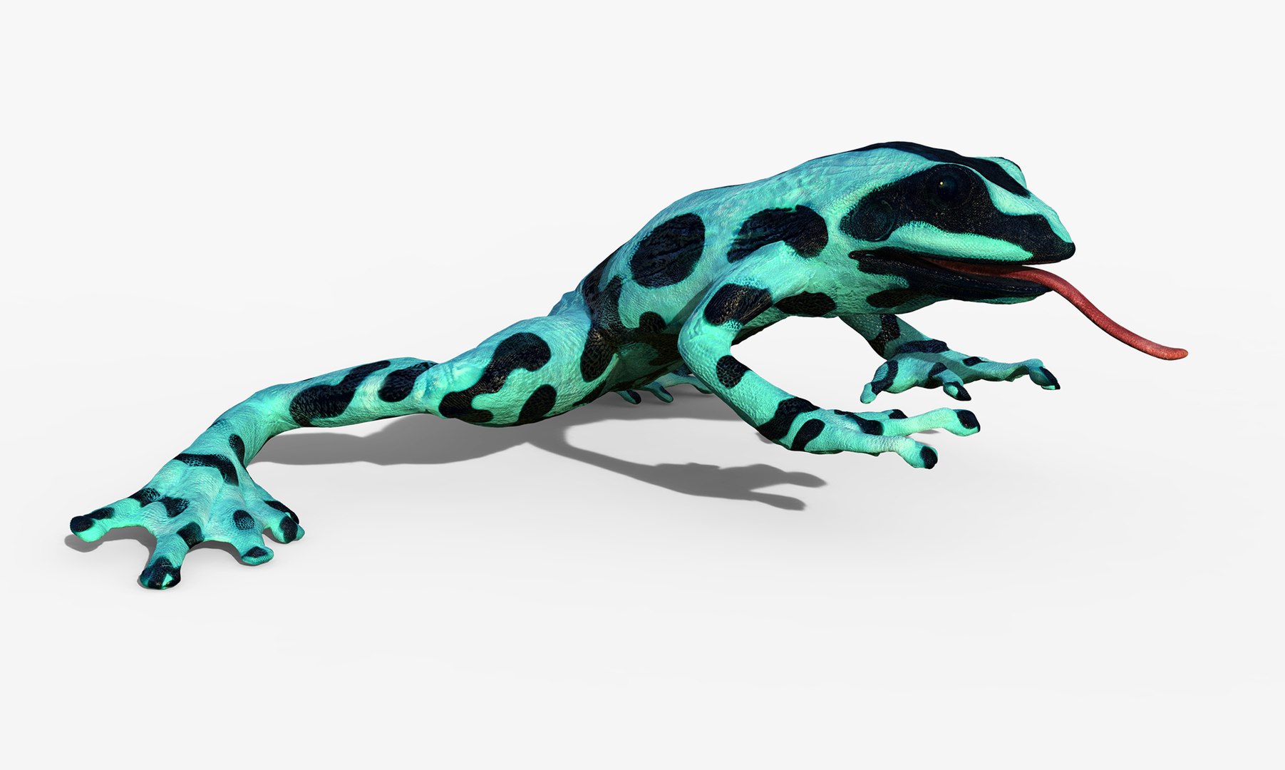 3D Frog Blue Color Model - TurboSquid 1854372