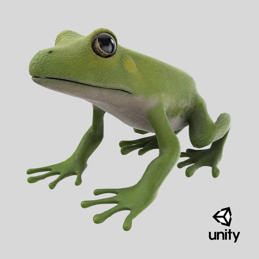 3D Green Tree Frog - TurboSquid 2167406