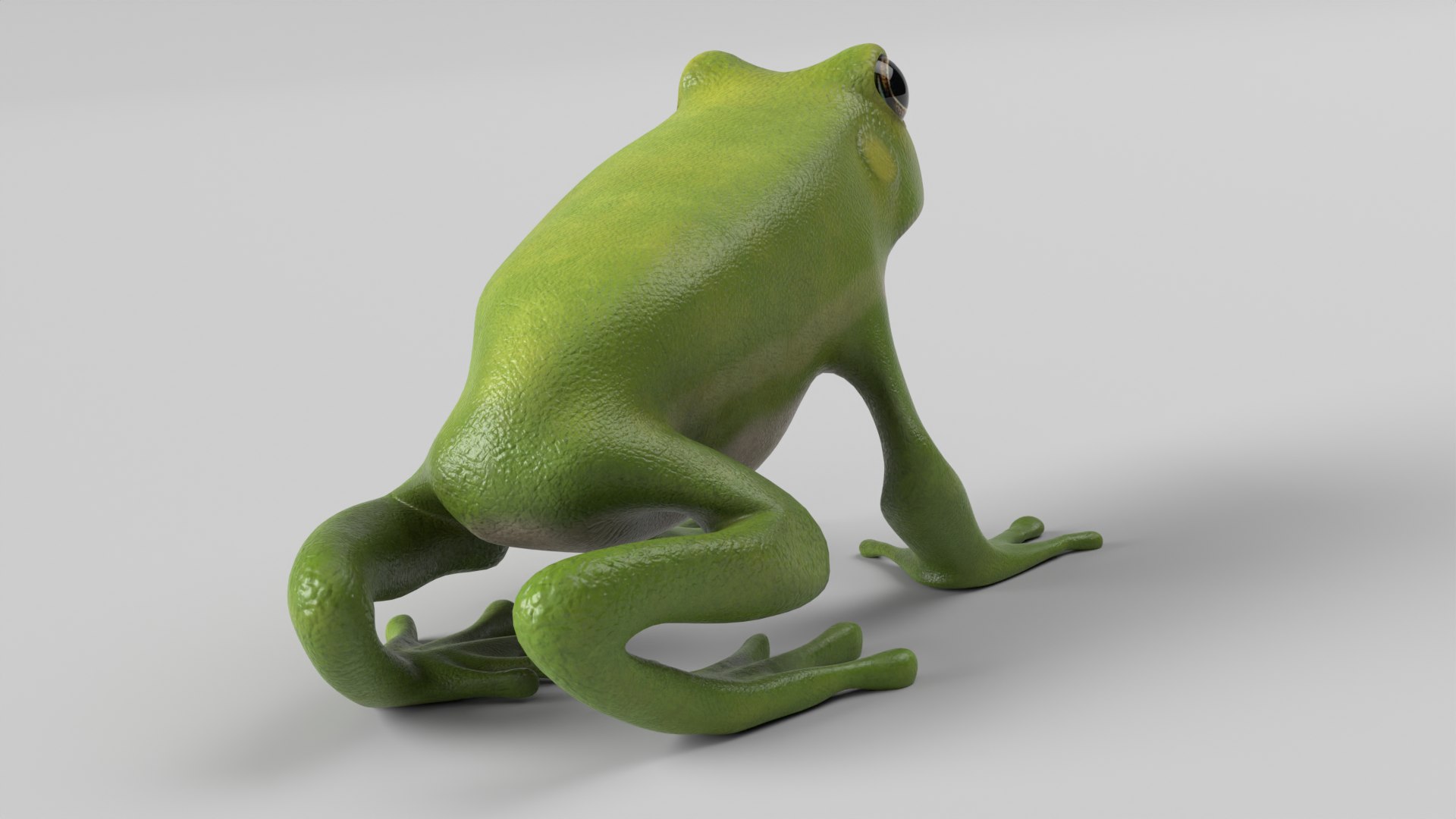 3D Green Tree Frog - TurboSquid 2167406