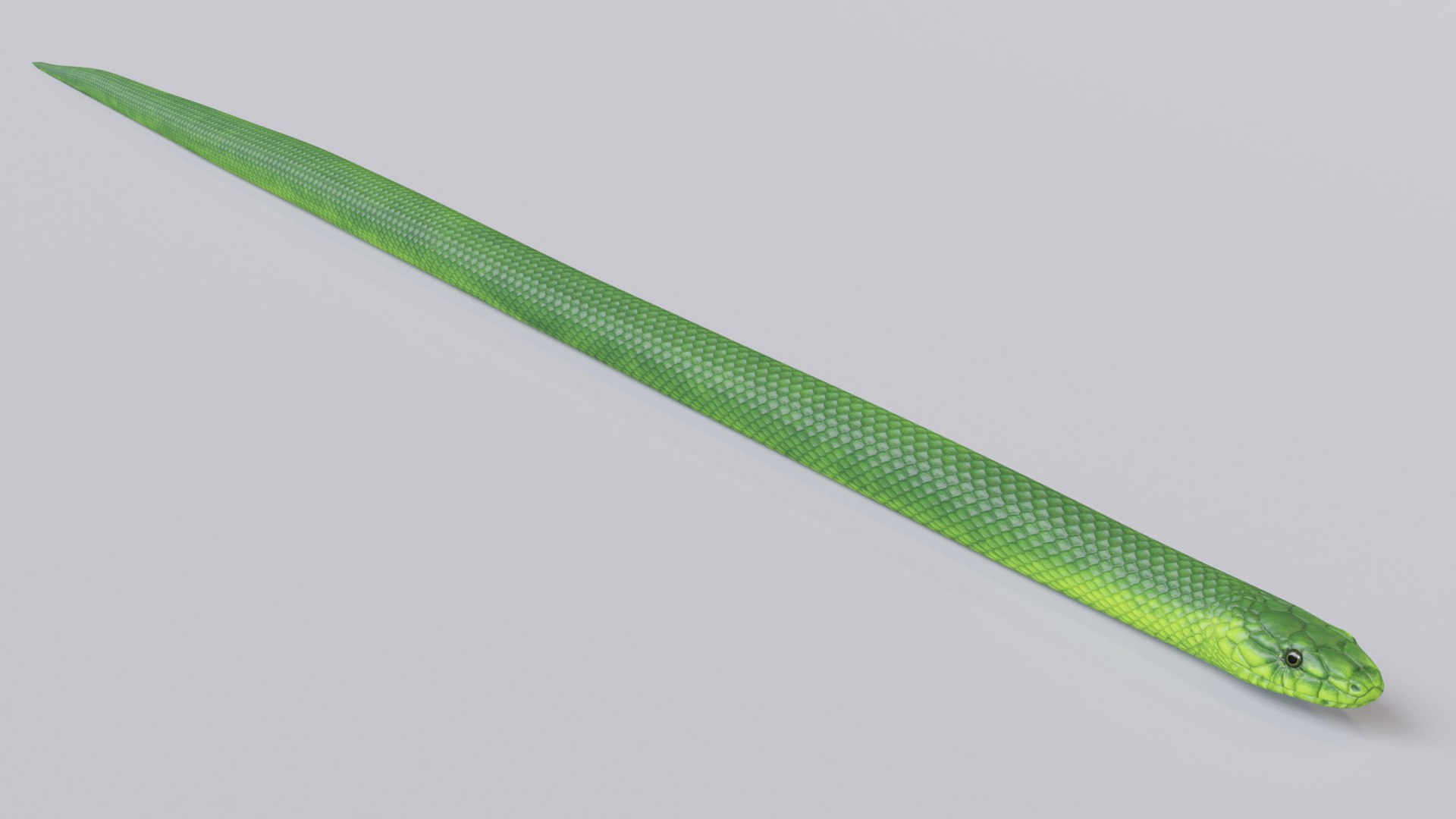 Green Mamba - 3D Mesh 3D - TurboSquid 1775194
