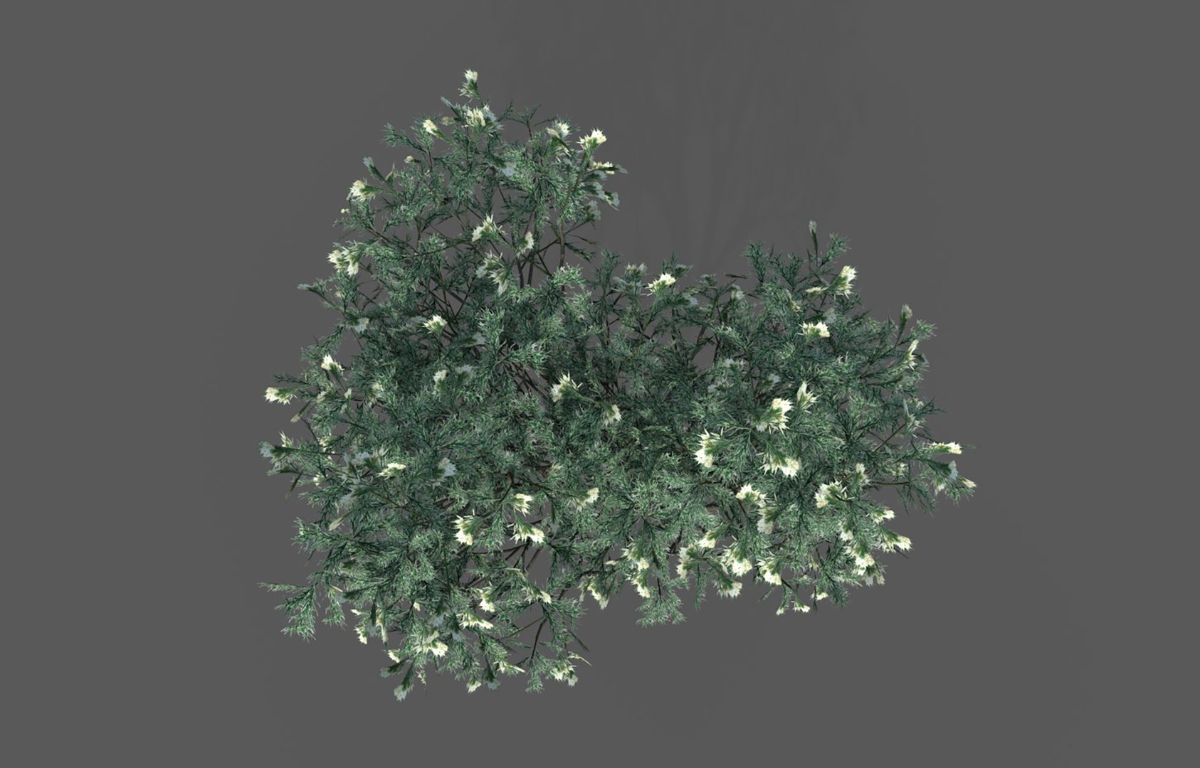 3D Tea Tree Model - TurboSquid 1737354