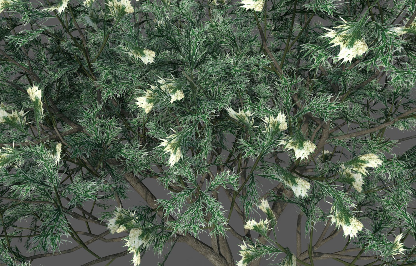 3D Tea Tree Model - TurboSquid 1737354