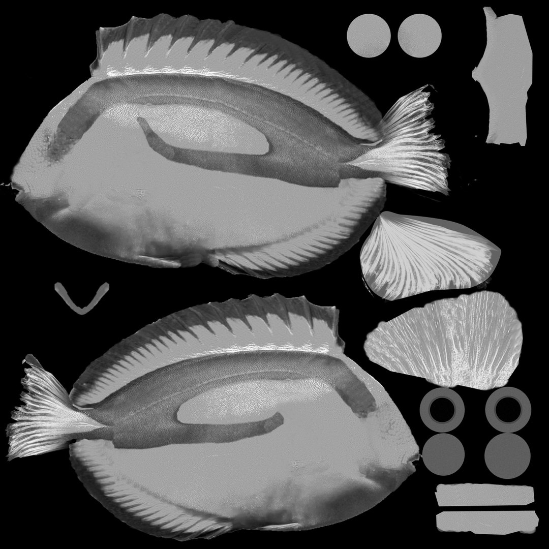 Realistic Fish Blue Tang Model - TurboSquid 1599320