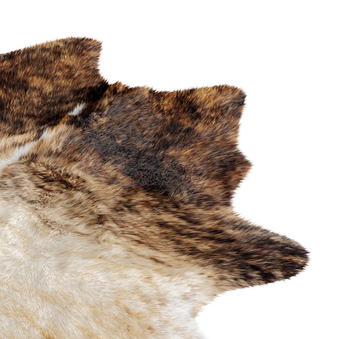 3D model Animal skin rug 05 - TurboSquid 1777001