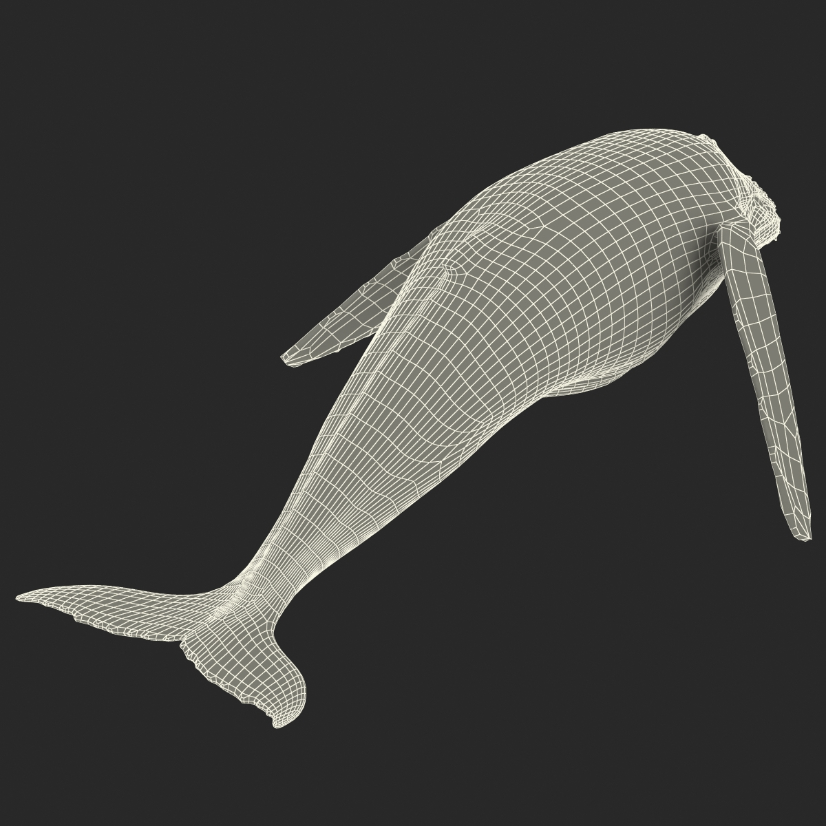 humpback whale pose 3 3d c4d