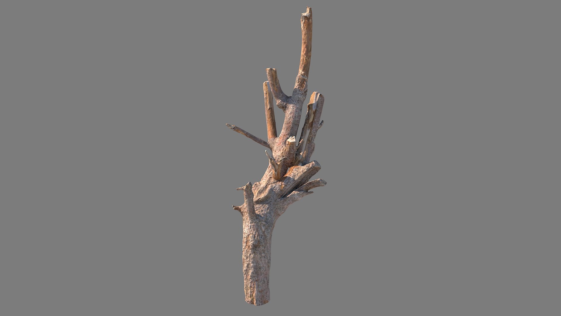 3D Twig Scanned 31 - TurboSquid 2088241