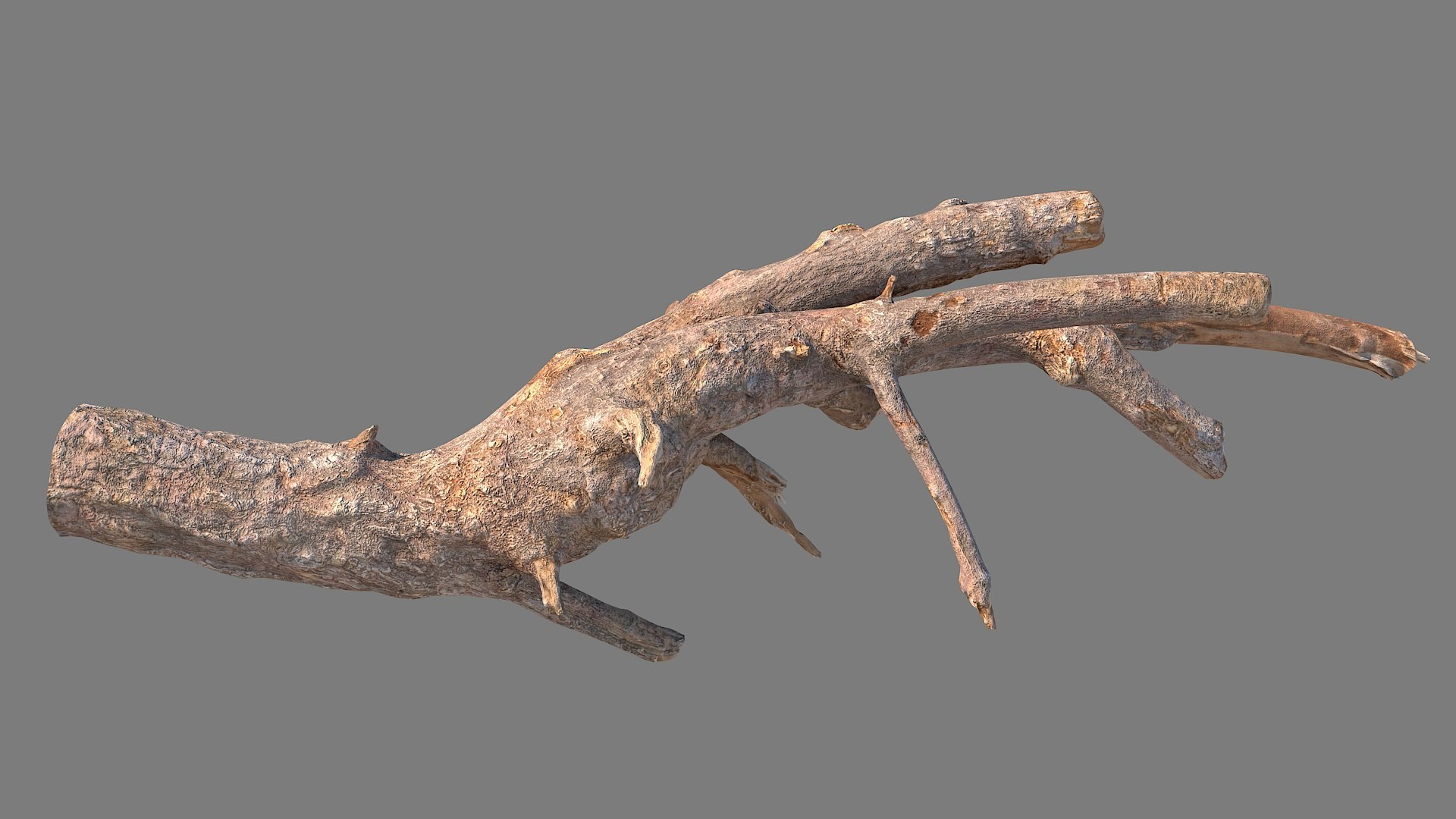 3D Twig Scanned 31 - TurboSquid 2088241