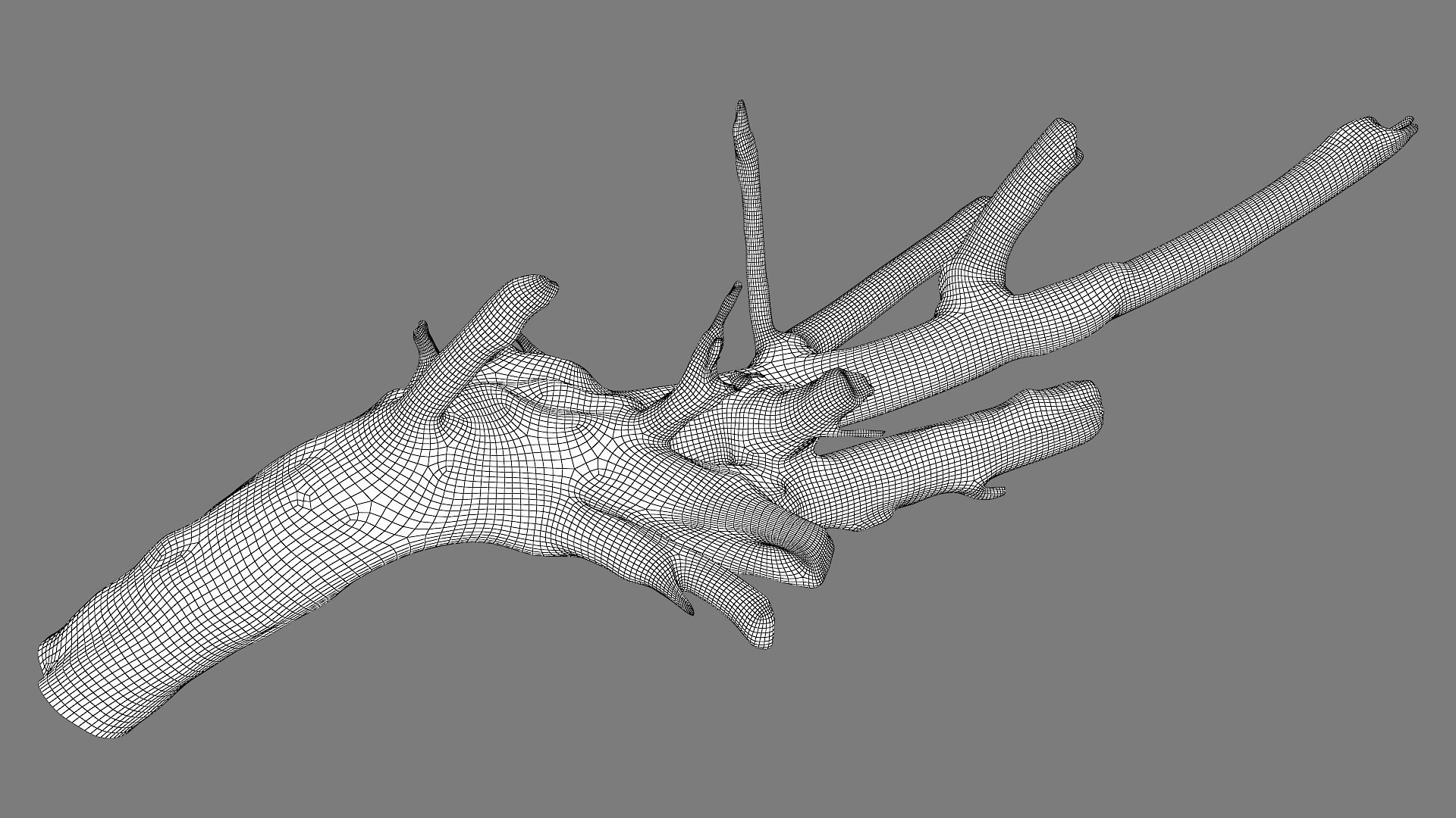 3D Twig Scanned 31 - TurboSquid 2088241