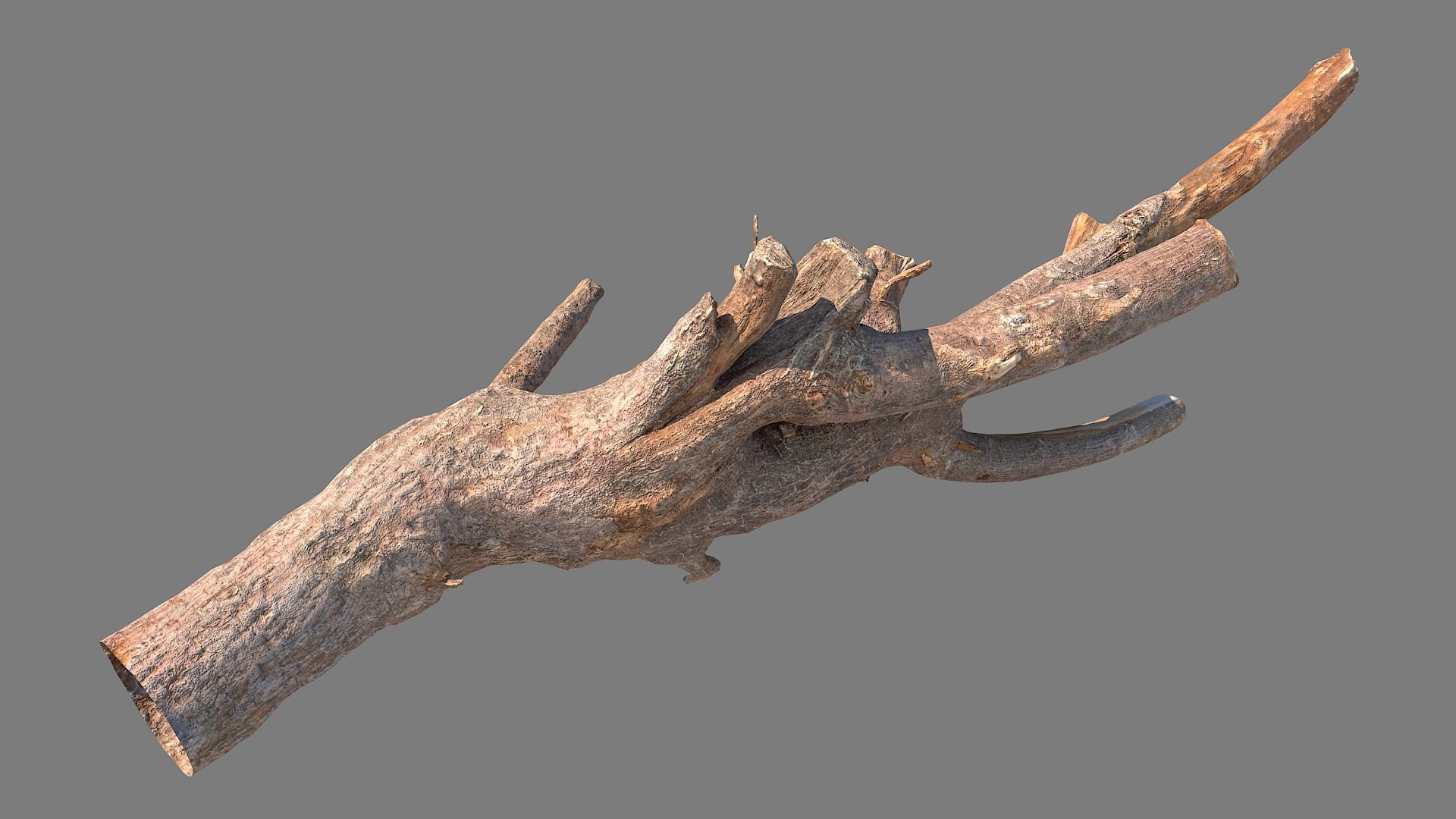 3D Twig Scanned 31 - TurboSquid 2088241