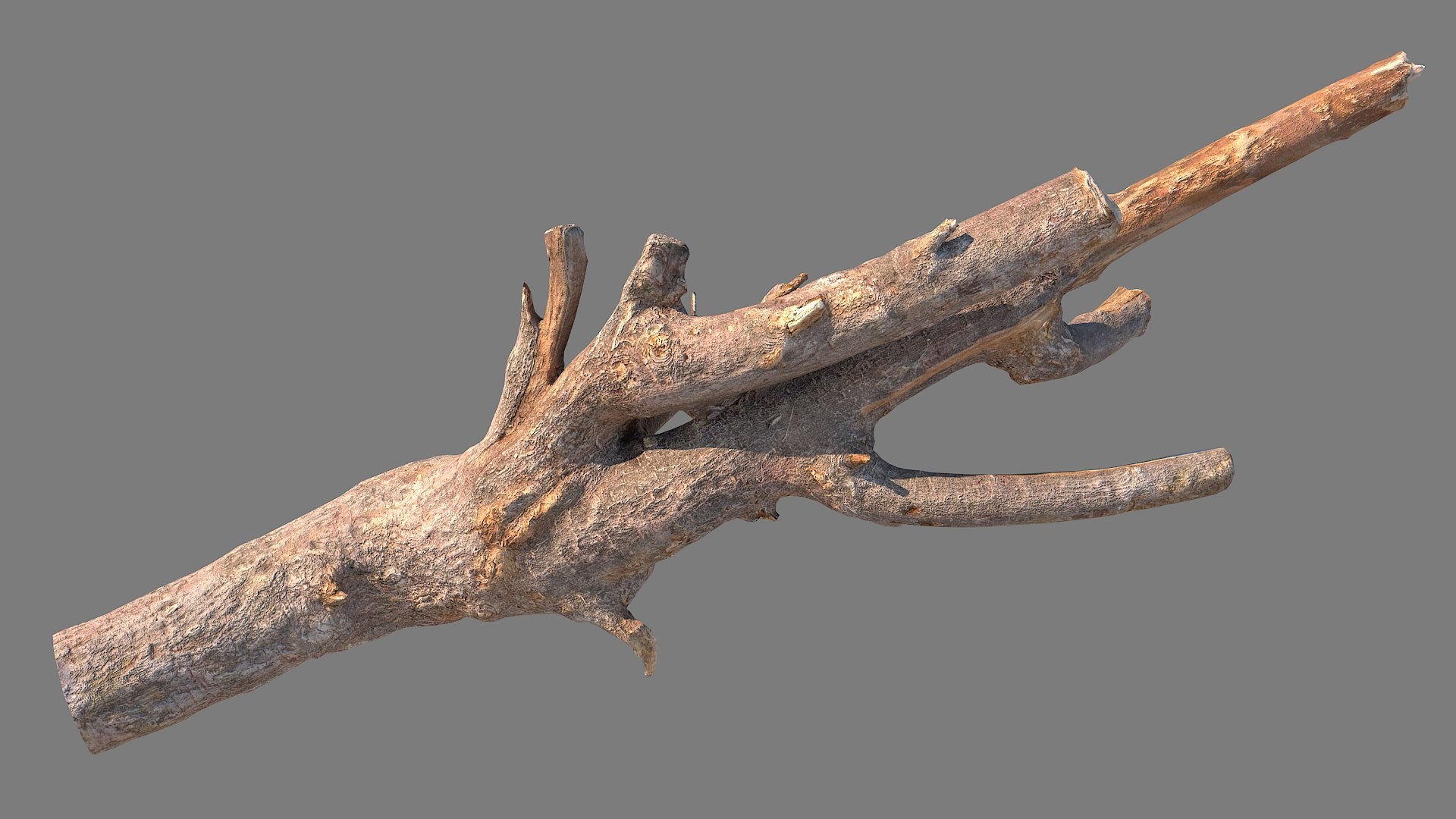 3D Twig Scanned 31 - TurboSquid 2088241