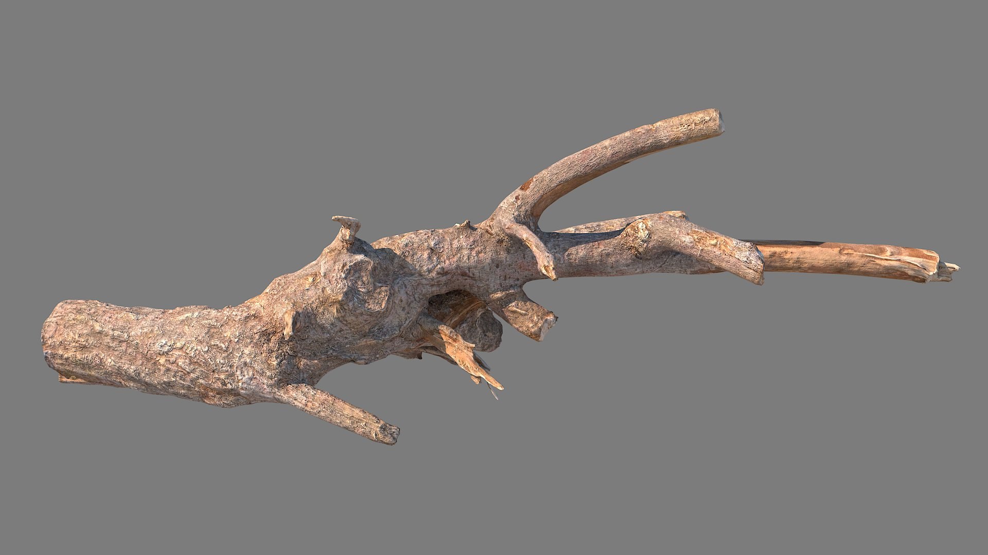 3D Twig Scanned 31 - TurboSquid 2088241
