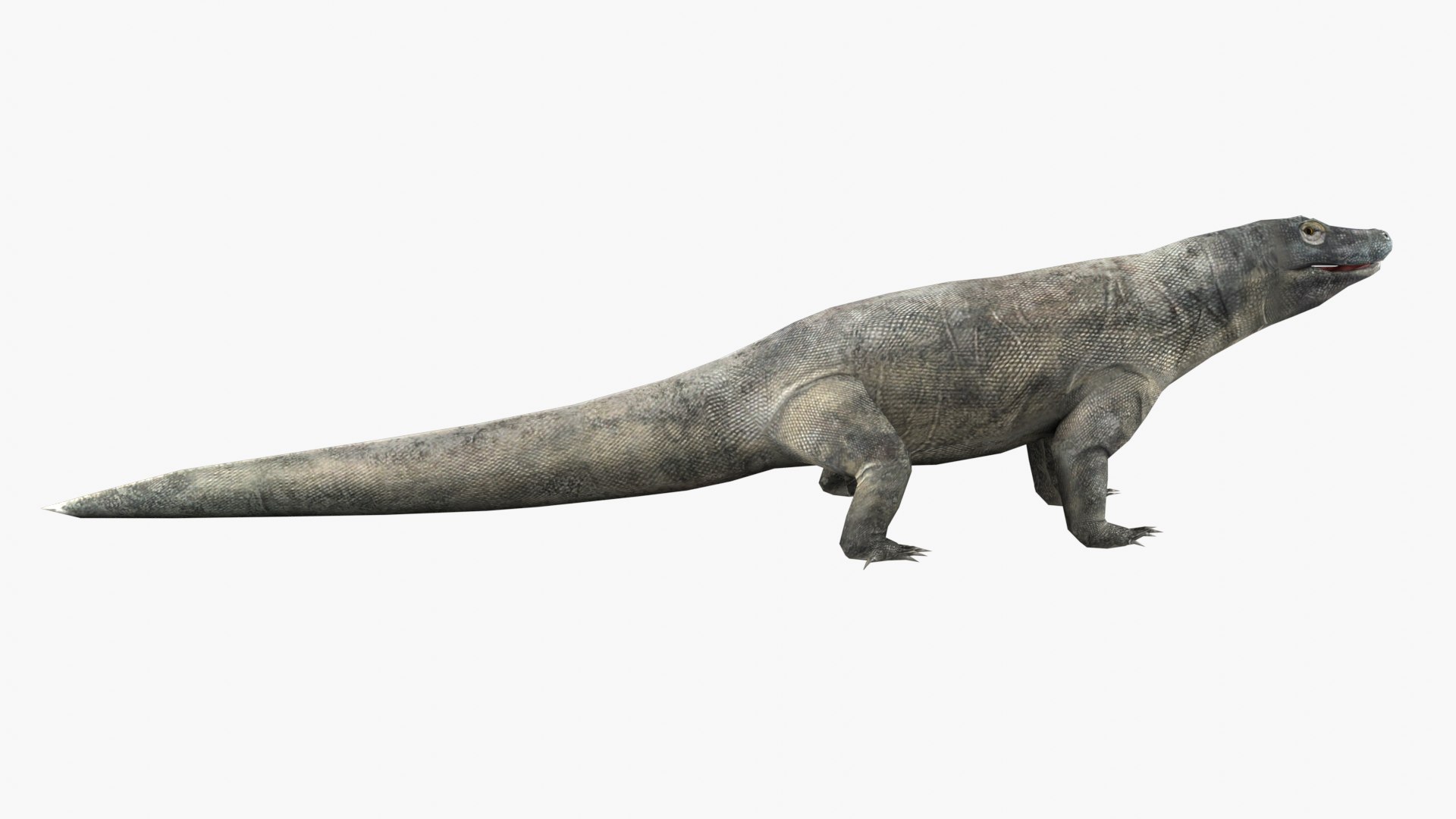 Komodo Dragon Model - TurboSquid 2370535