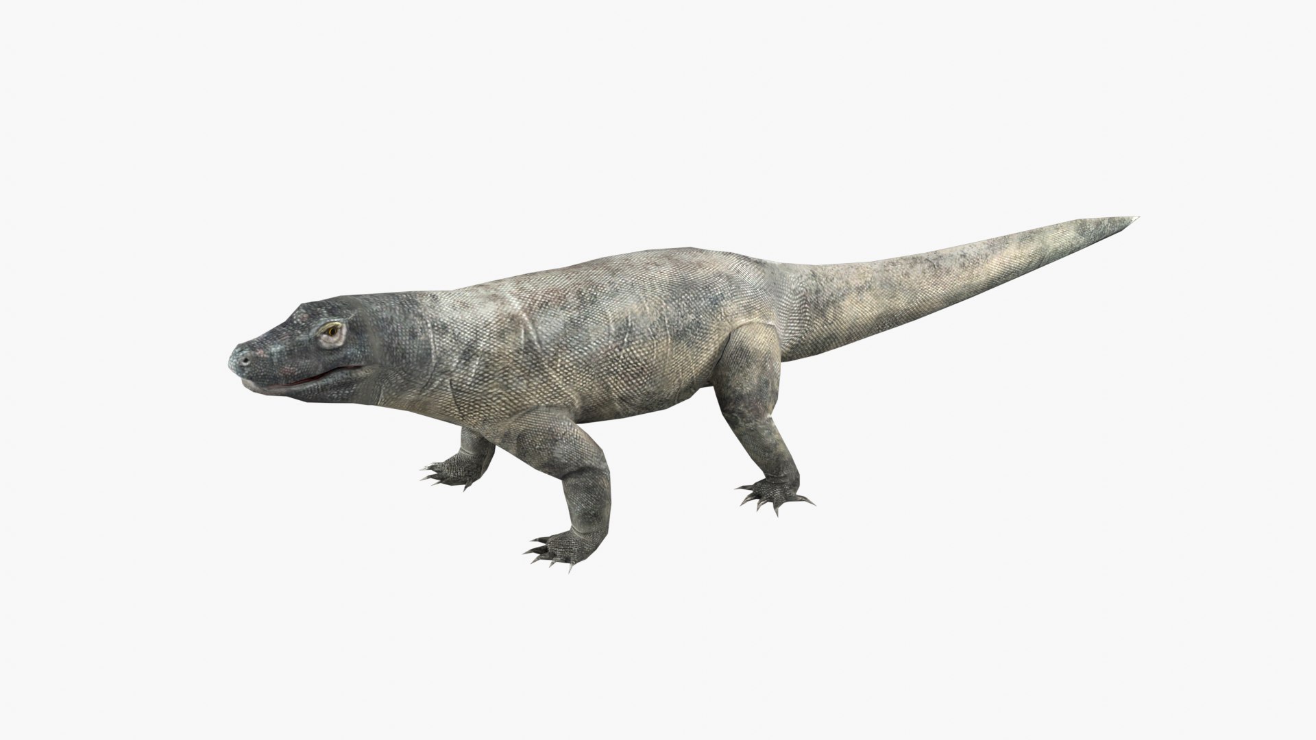 Komodo Dragon Model - TurboSquid 2370535