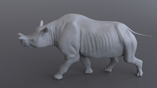 modelo 3d Megacerops coloradensis - TurboSquid 2303366