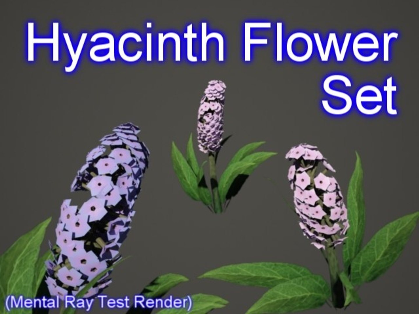 3d Model Set Hyacinth Flowers