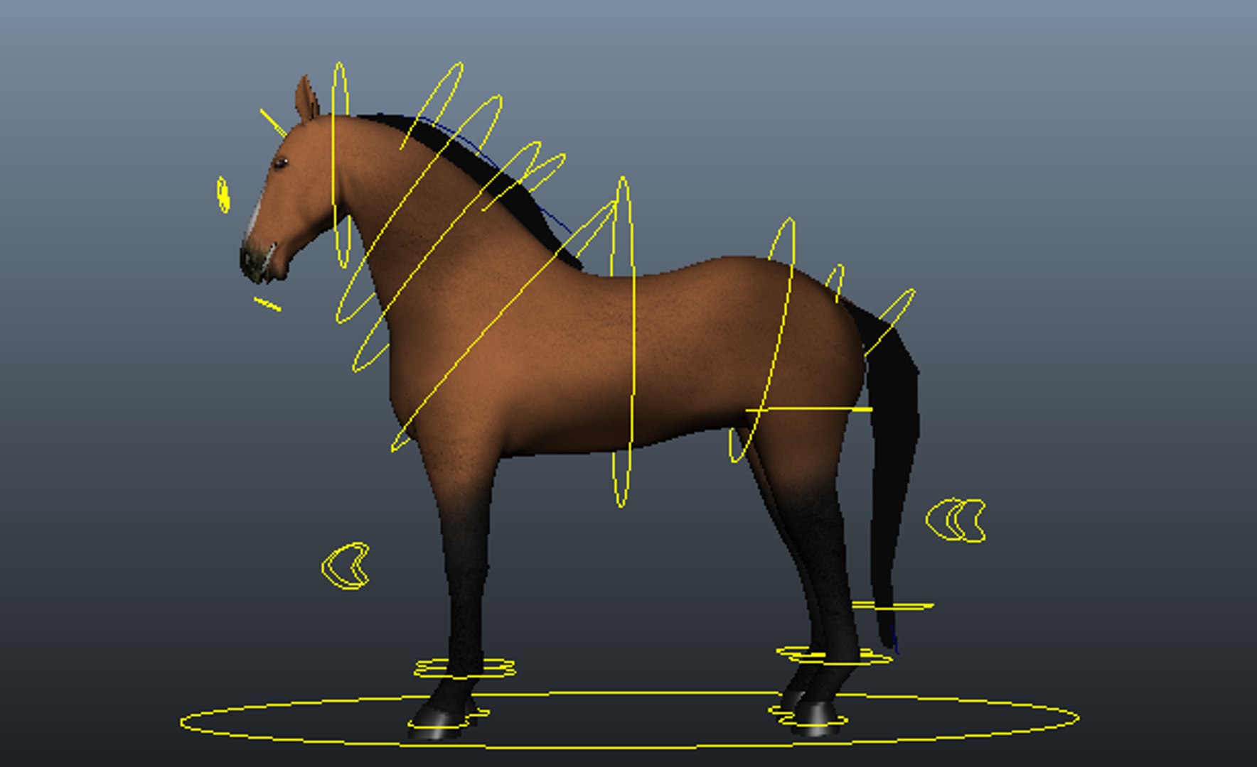 3D Rigged Horse Animations Model - TurboSquid 1375429