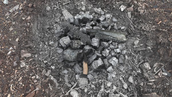 3d modo log burned ashes model